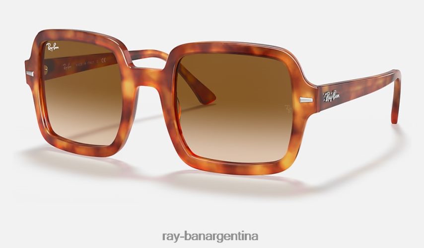 Ray-Ban rb2188 LJV8V1576 Gafas de sol havana rojo pulido/marrón claro ...