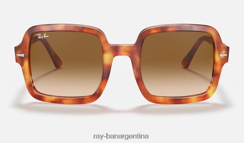 Ray-Ban rb2188 LJV8V1576 Gafas de sol havana rojo pulido/marrón claro ...