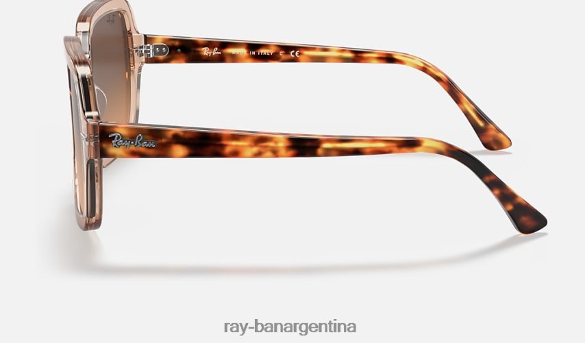 Ray-Ban rb2188 LJV8V1578 Gafas de sol marrón transparente pulido/marrón ...